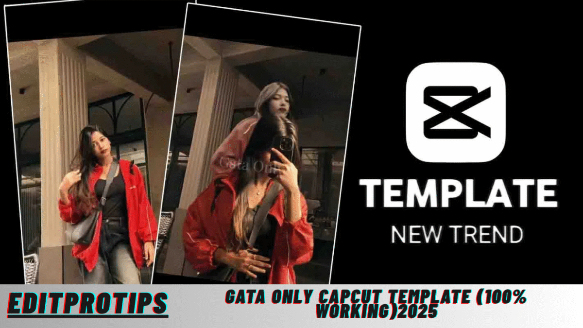 Gata Only Capcut Template (100% Working)2025 - EditProTips